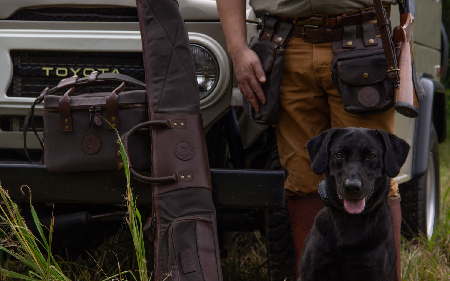 Dove Gear