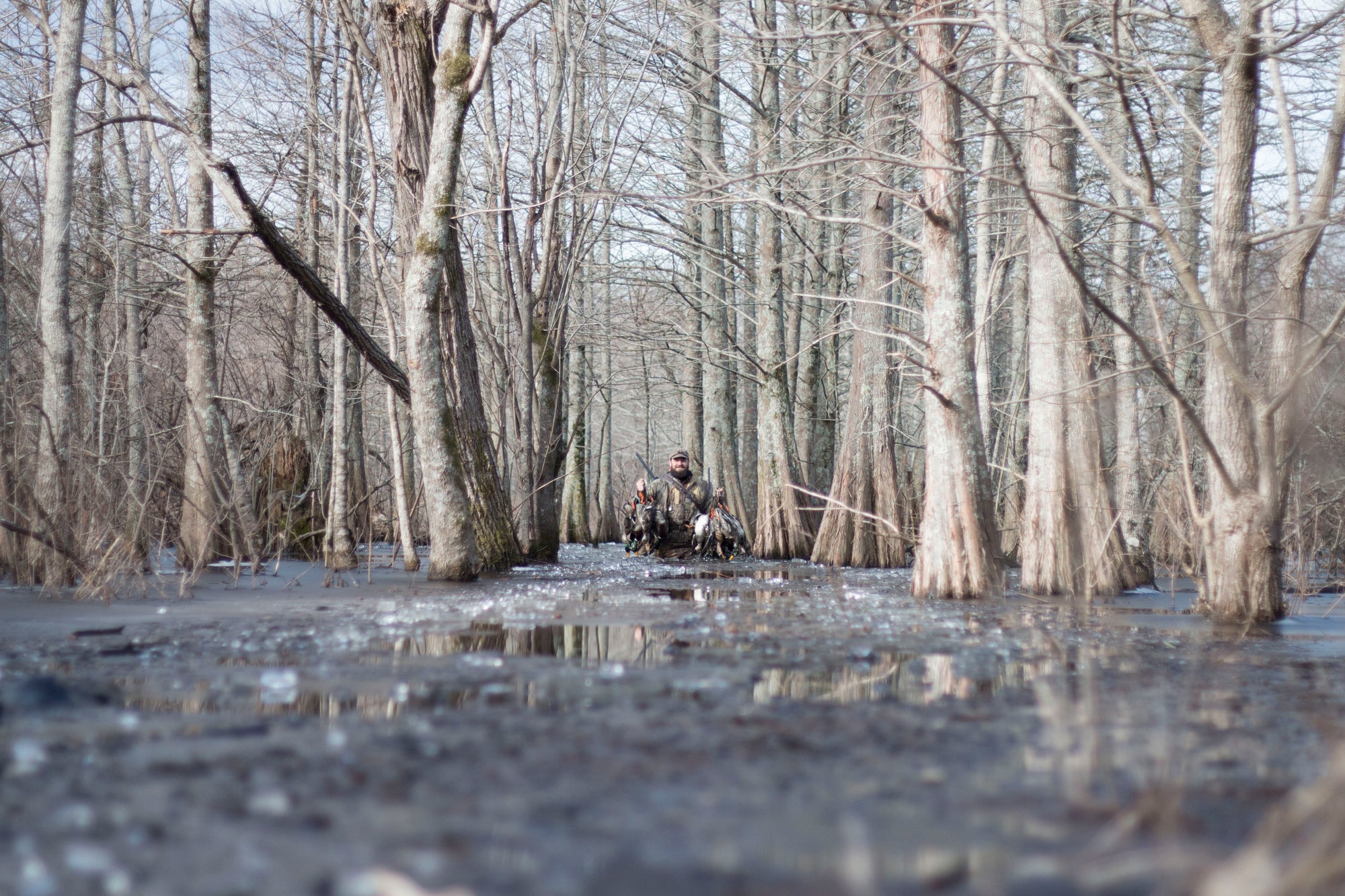 Wren & Ivy – Wren and Ivy